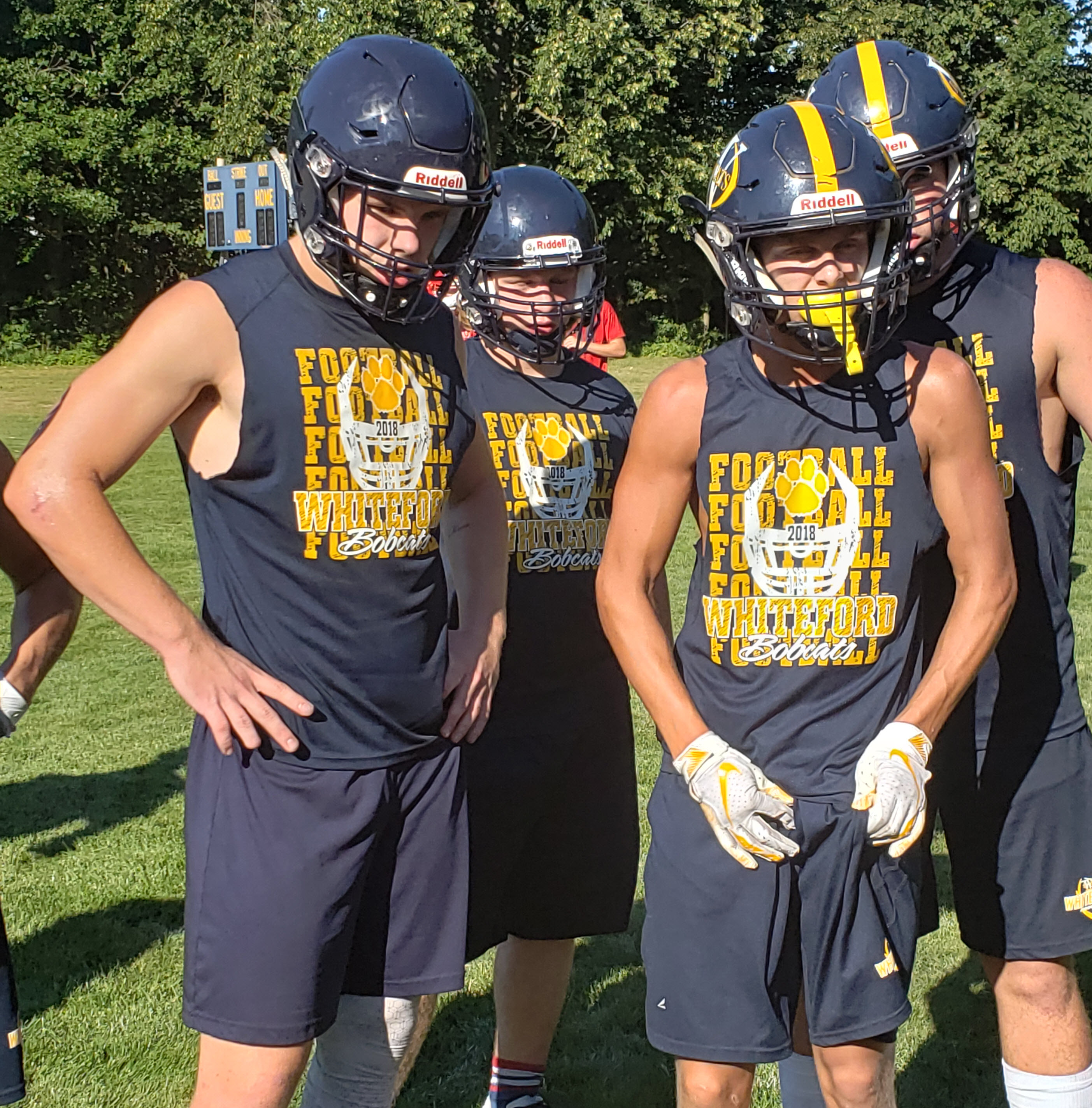 MHSAA adds 5th quarter for football, basketball players – WHITEFORD ...