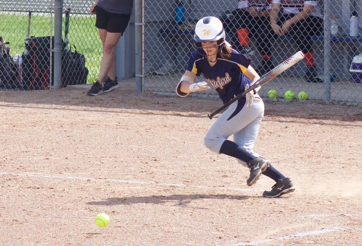 Bobcat-Bees prepare for quarterfinal matchup in Battle Creek ...