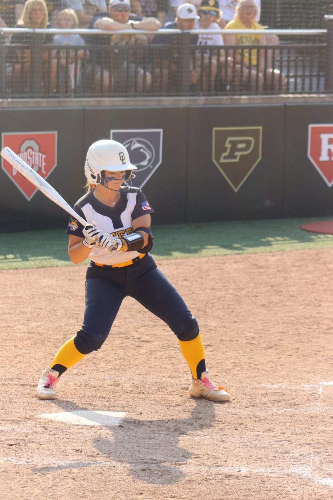 VanBrandt, Nelson and Sheldon make First Team All-State in softball ...