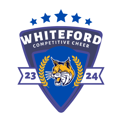 Competitive Cheer team sets record by topping 600-point mark ...