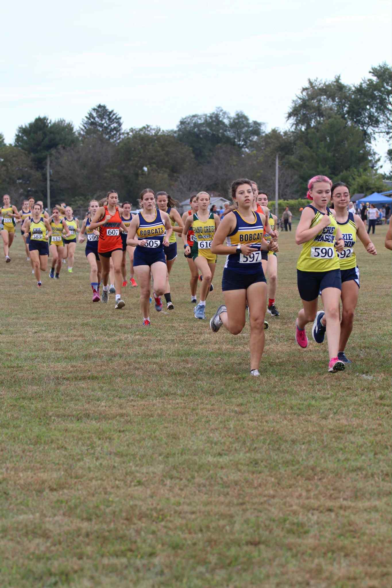 Chiotti continues to shine for Bobcat cross country team – WHITEFORD ...